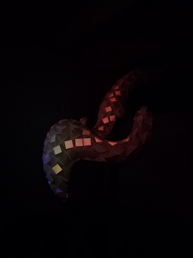 Creseis revela - Ana Oosting