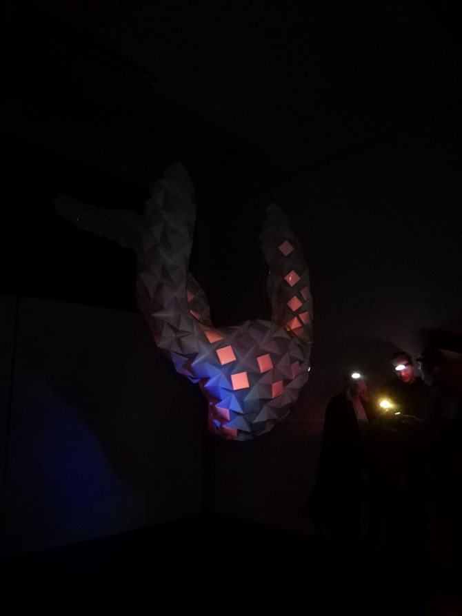 Creseis revela - Ana Oosting