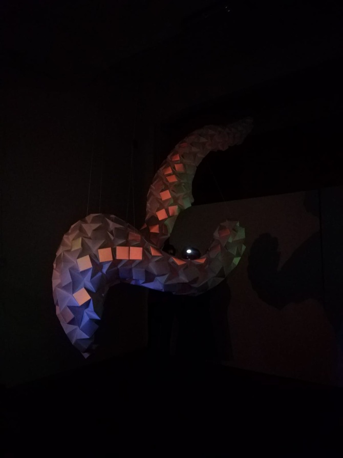 Creseis revela - Ana Oosting