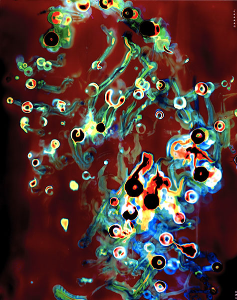 Colleen Fitzgerald Studio