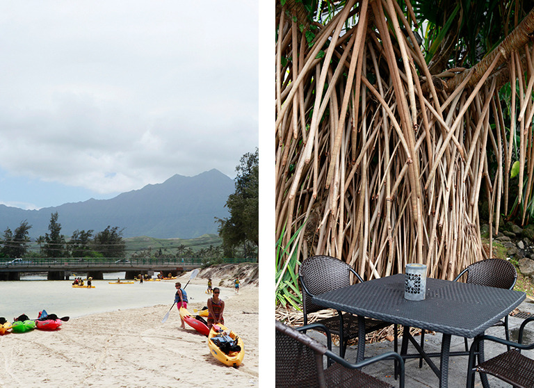 Oahu, Hawaii - Whitney Tressel | Travel Photographer and Photo Editor