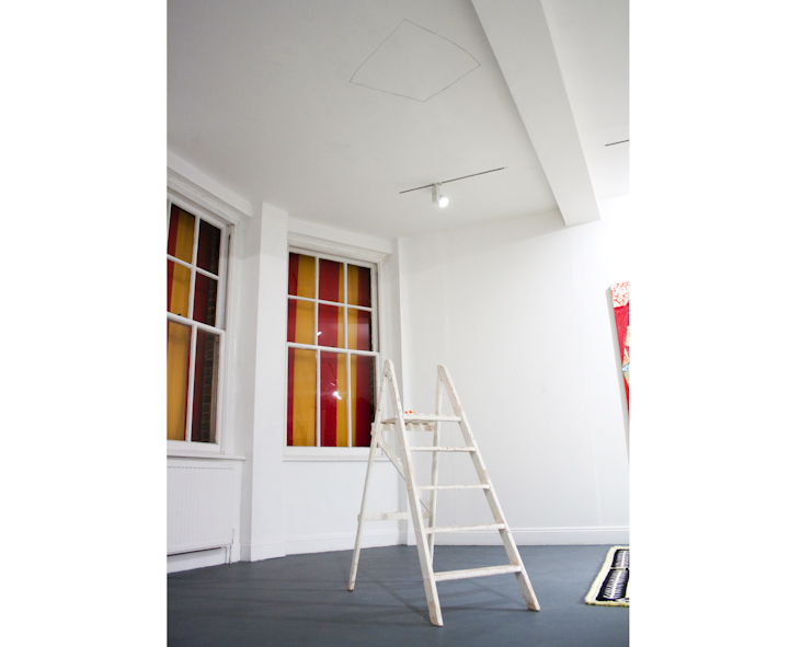 Angus-Hughes - Flore Nové-Josserand