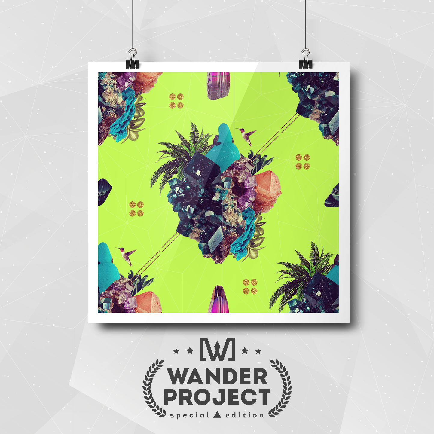 Wander Project - Carolina Nino