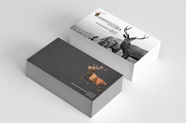 Cooperative Deer Management Logo Design - Lissy Morse