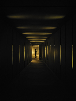 SINEAD O'CONNOR - David Curtis-Ring