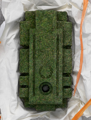 SINEAD O'CONNOR - David Curtis-Ring