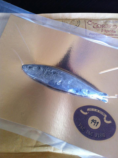 VACPAC FISH - tristancochrane.com