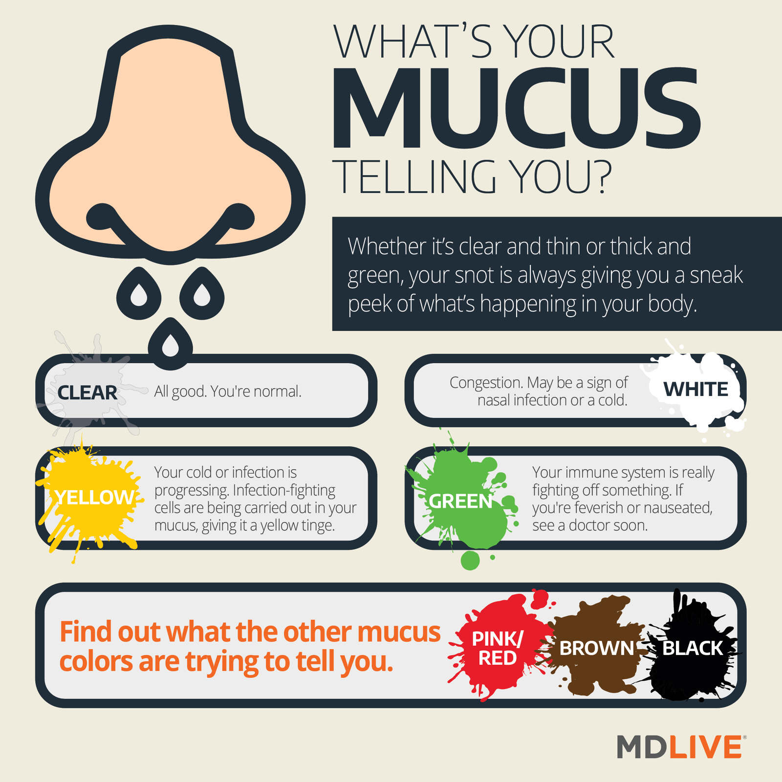 MDLIVE Mucus Guide Campaign - Michelle Bielecki, Copywriter