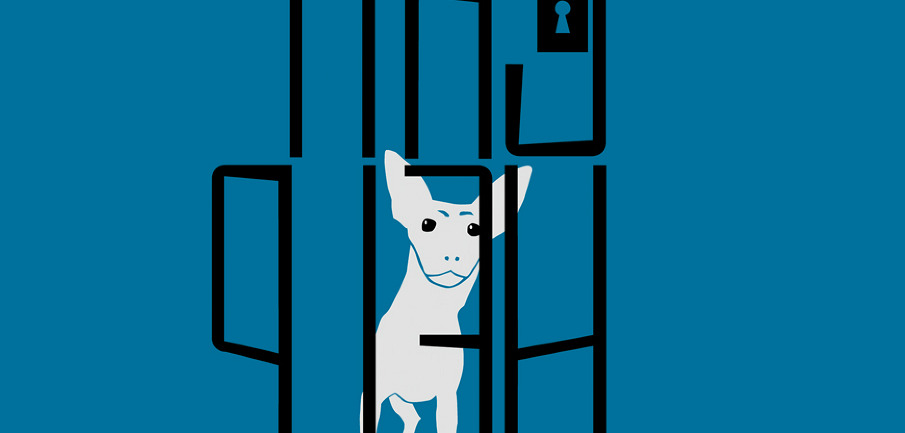 Rovan Yu - Engagement Design