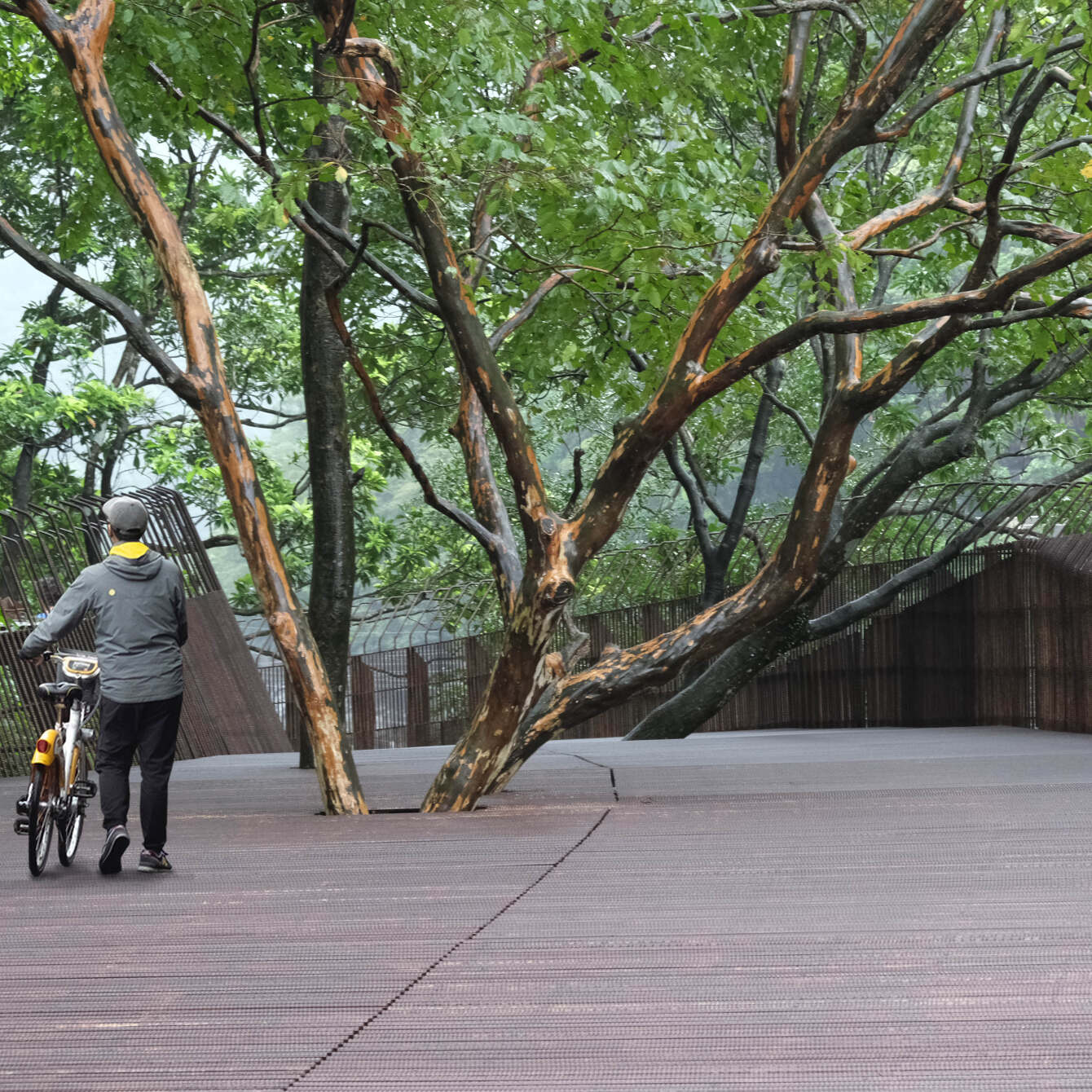 THE DARK LINE, SANDIAOLING, Taiwan - MICHELE & MIQUEL architectes ...