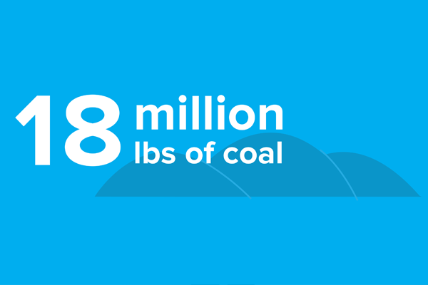 Environmental Impact Infographic Poster - Emily Posner