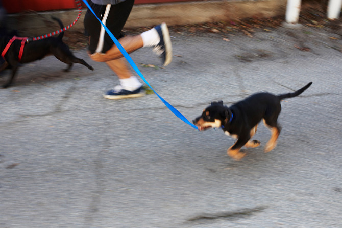 Mikey - Device Photography