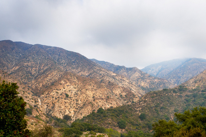 Mikey - Device Photography