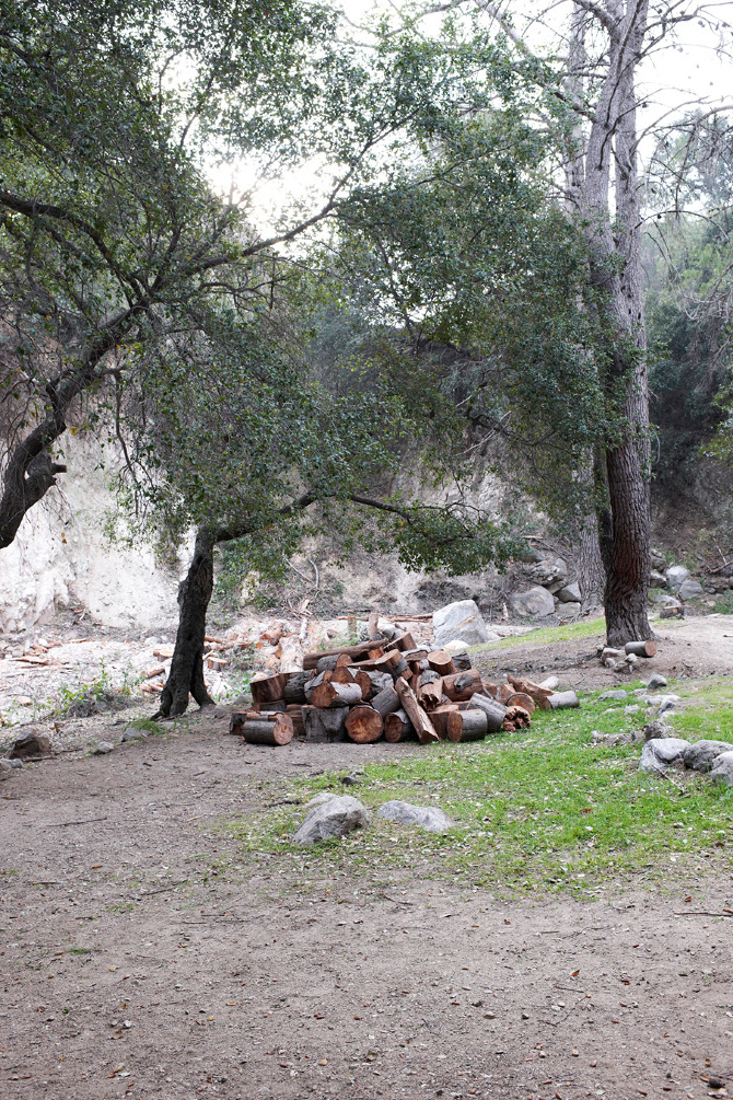 Mikey - Device Photography