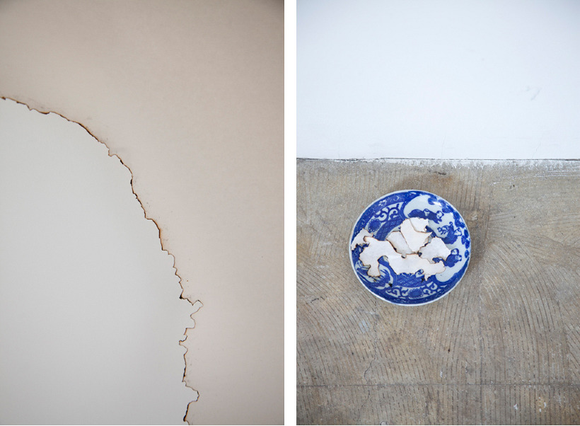 (SHOP) - 14sd / YOSUKE HAYASHI