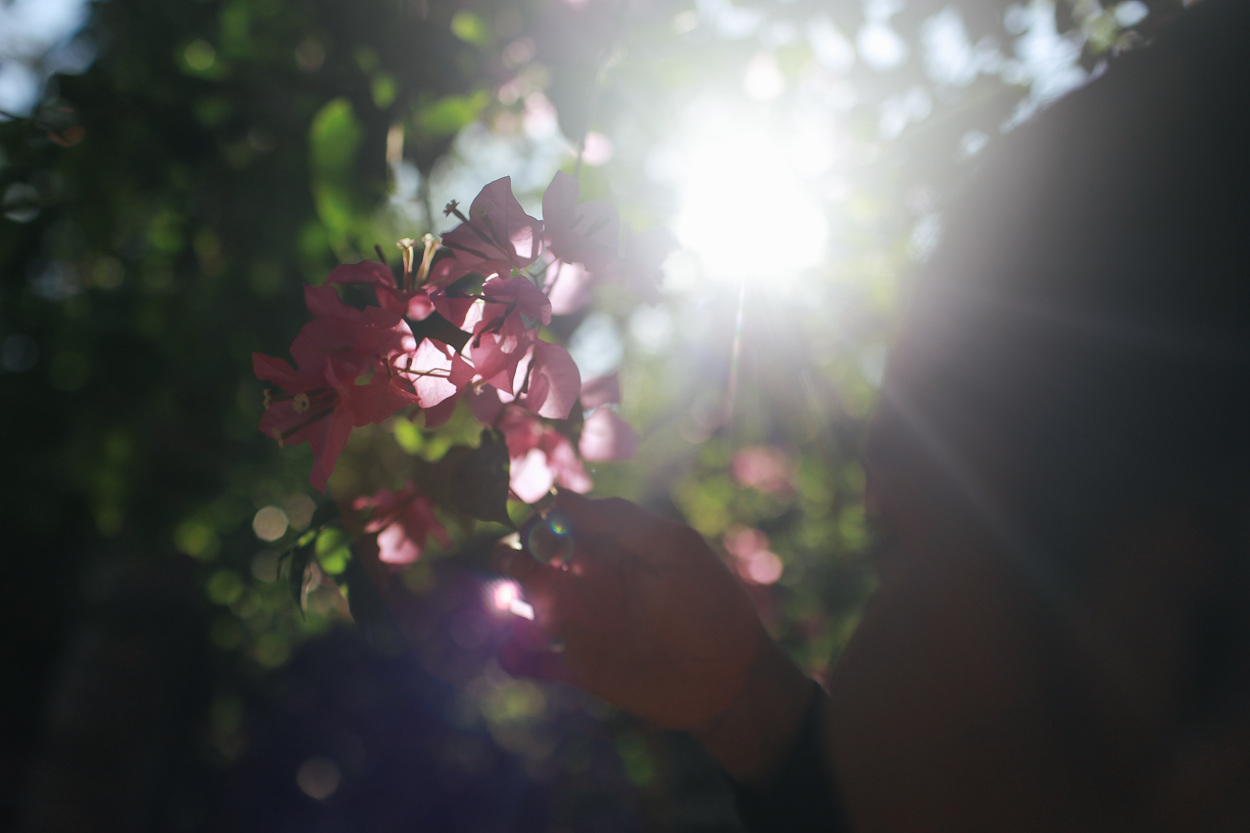 Chasing Butterflies - Fransisca Angela, Documentary Photographer in ...