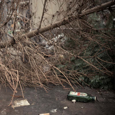 THE VERY SAD LIFE OF A PINE TREE - mariechatard