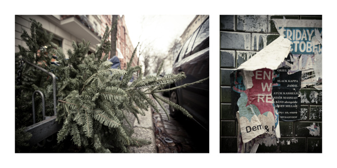 THE VERY SAD LIFE OF A PINE TREE - mariechatard