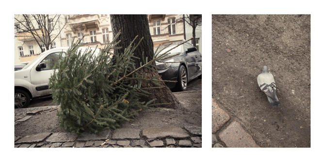 THE VERY SAD LIFE OF A PINE TREE - mariechatard