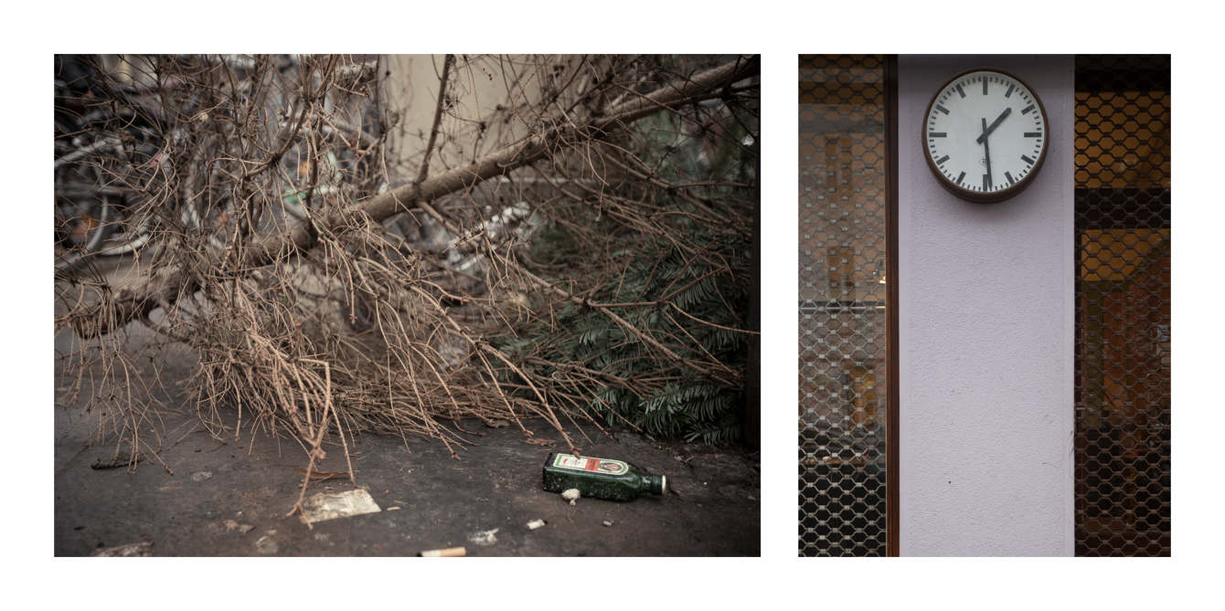 THE VERY SAD LIFE OF A PINE TREE - mariechatard