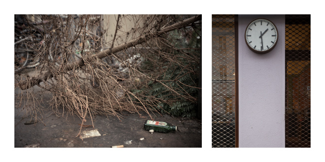 THE VERY SAD LIFE OF A PINE TREE - mariechatard