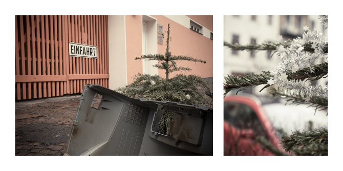 THE VERY SAD LIFE OF A PINE TREE - mariechatard