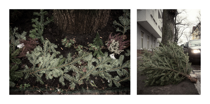 THE VERY SAD LIFE OF A PINE TREE - mariechatard