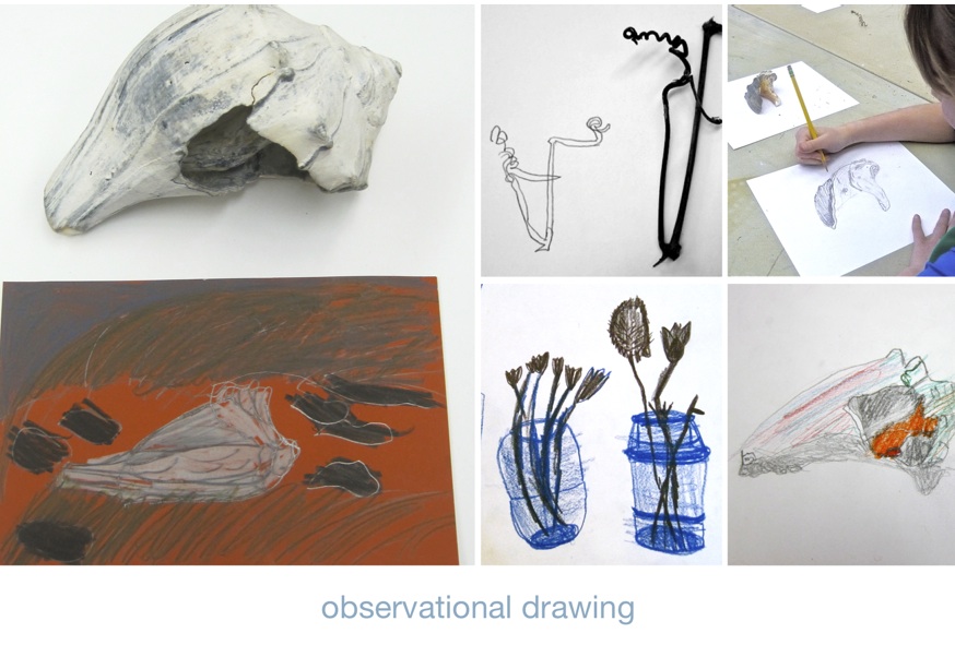 drawing from nature curriculum - karenfuchshome.com