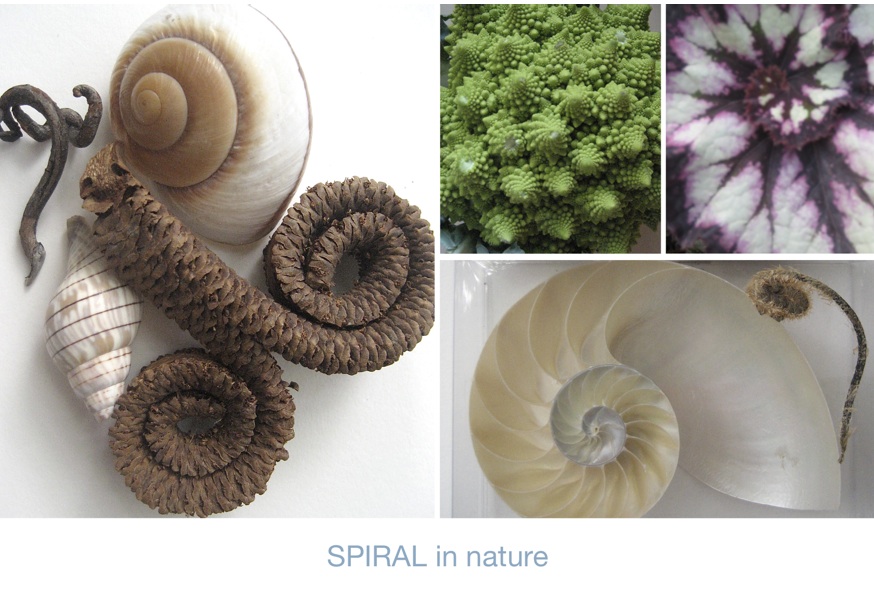 drawing from nature curriculum - karenfuchshome.com