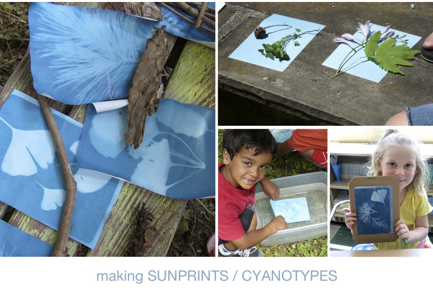 drawing from nature curriculum - karenfuchshome.com