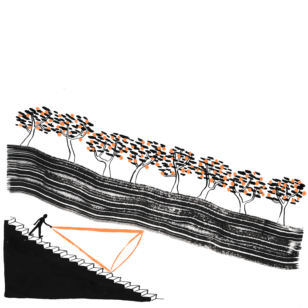 NIGHT FRUIT - Kaye Blegvad