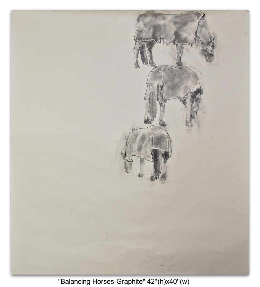 Graphite and Charcoal Drawings - Madeline Stoken