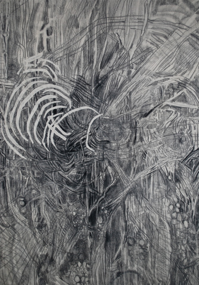 Graphite and Charcoal Drawings - Madeline Stoken