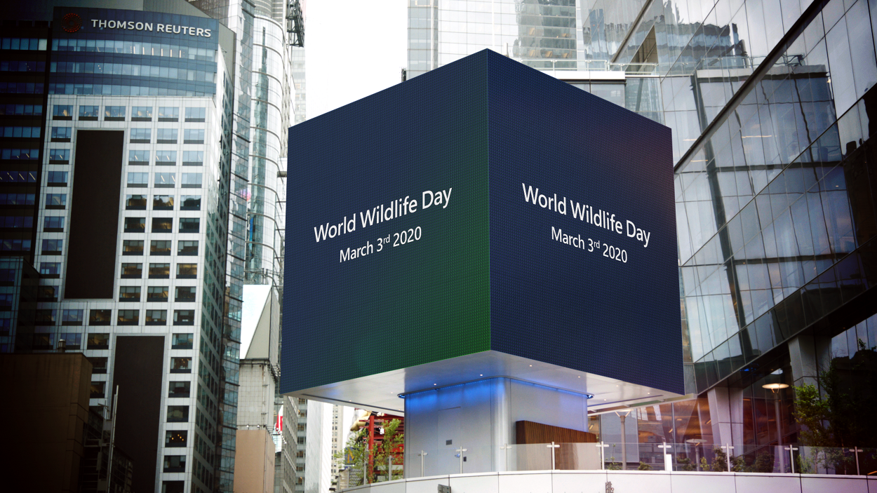 Concept Design | Microsoft Times Square - lubdhakamat