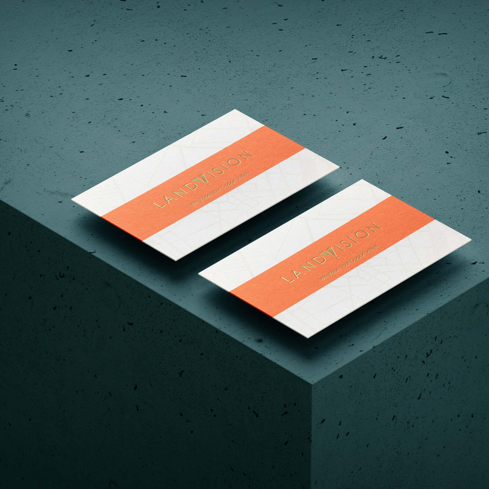 Landvision CI Revamp - Vegetable & Sun