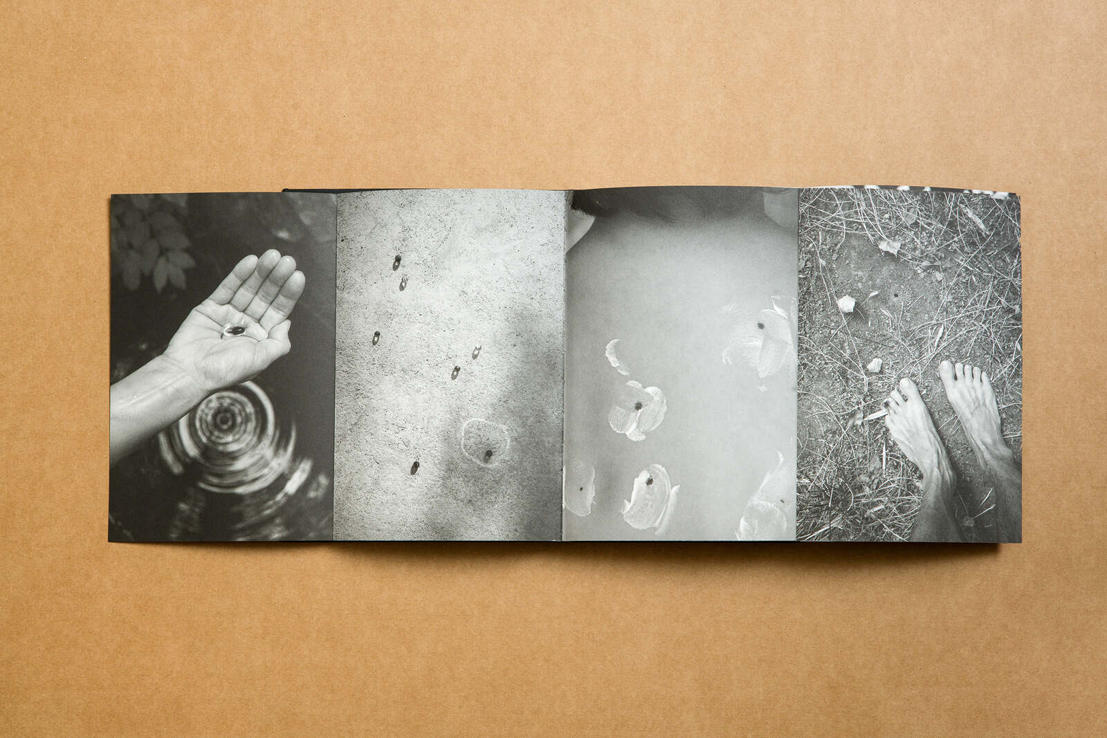 ALEX LLOVET photography