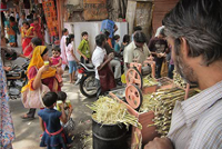 Rachel Scott Everett