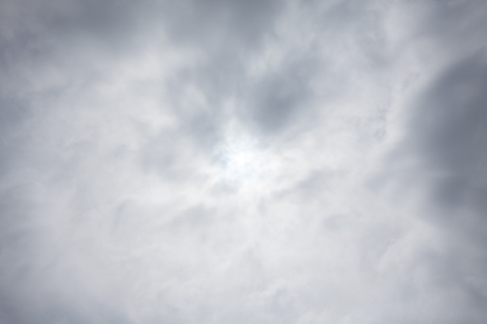 Gina Cholick - http://www.detroitccp.org/