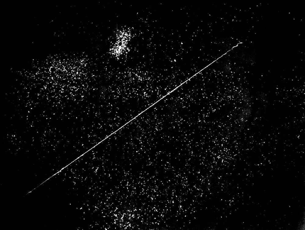 Megan Magill - http://www.detroitccp.org/