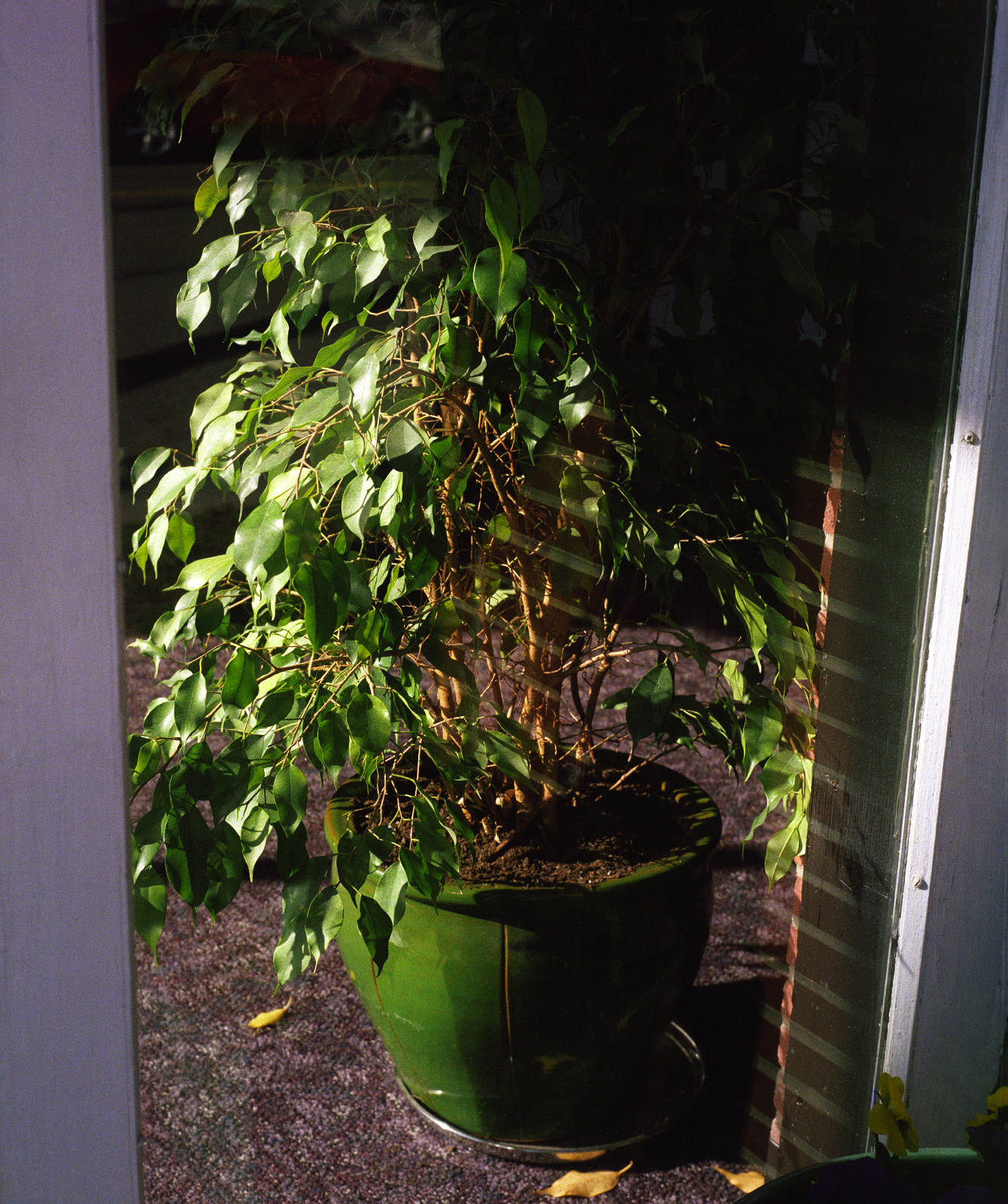 Nathan David Compton