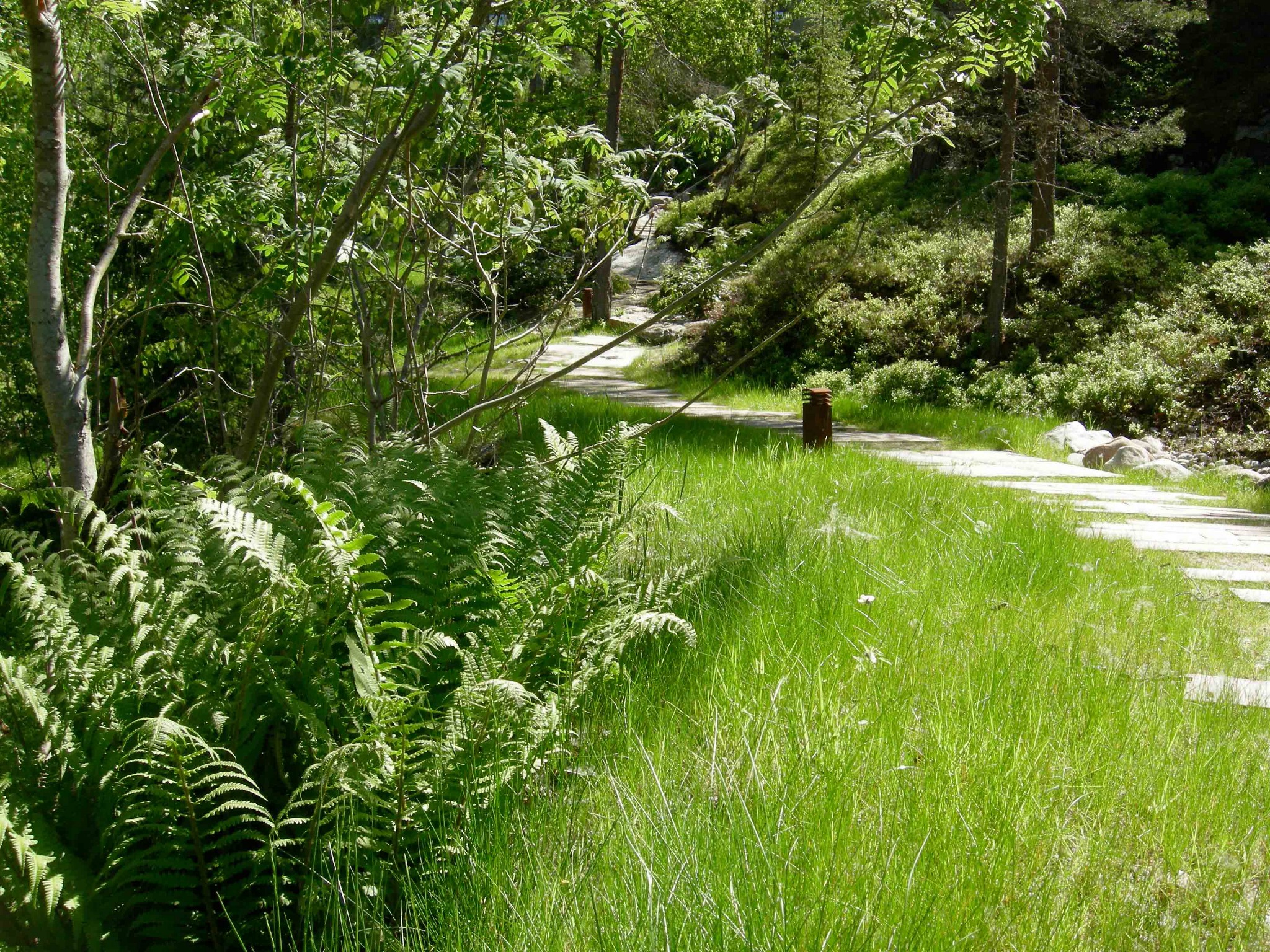 2008 Bandolin & NOD: Trädgård för Yasuragi - www.bandolin.se