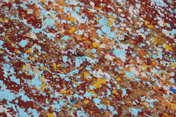 Barbara Navarro - Rainforest Art Project/Tundra Project
