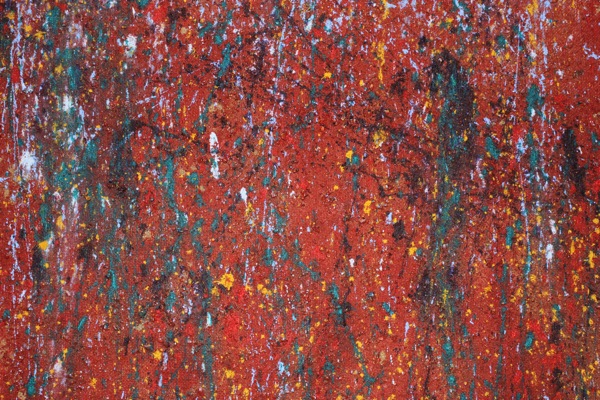 Barbara Navarro - Rainforest Art Project/Tundra Project