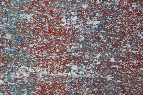 Barbara Navarro - Rainforest Art Project/Tundra Project