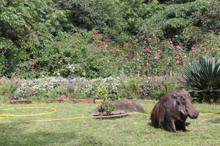 Shangazi House – a home away from home - Lea Foustad Harbo