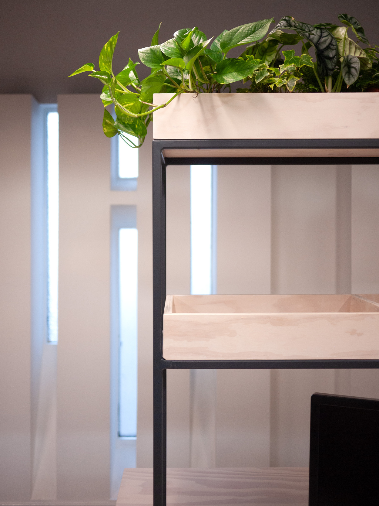 FORTYTWO STUDIO - polka