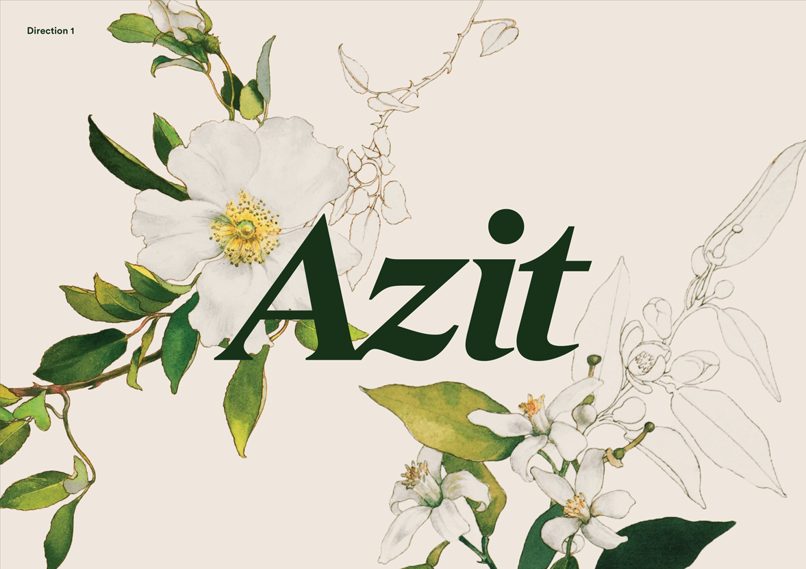 Azit Branding - Su Lee