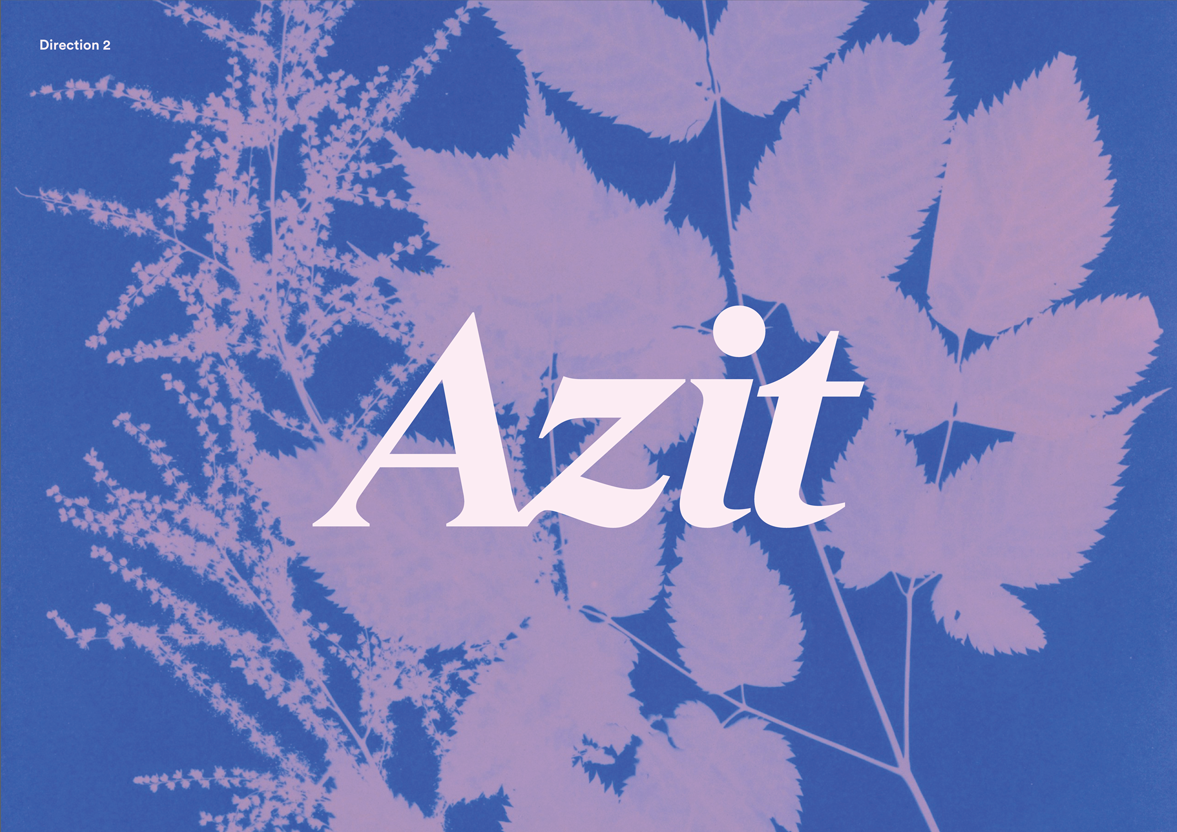 Azit Branding - Su Lee