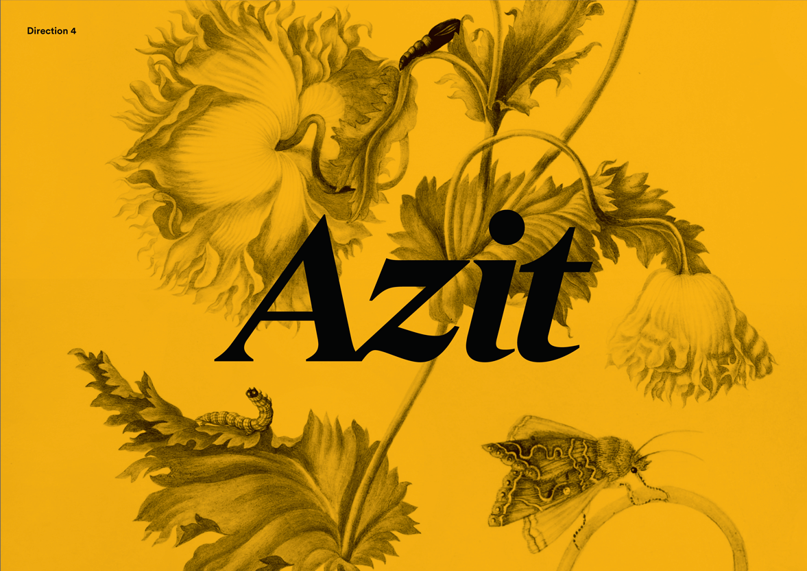 Azit Branding - Su Lee