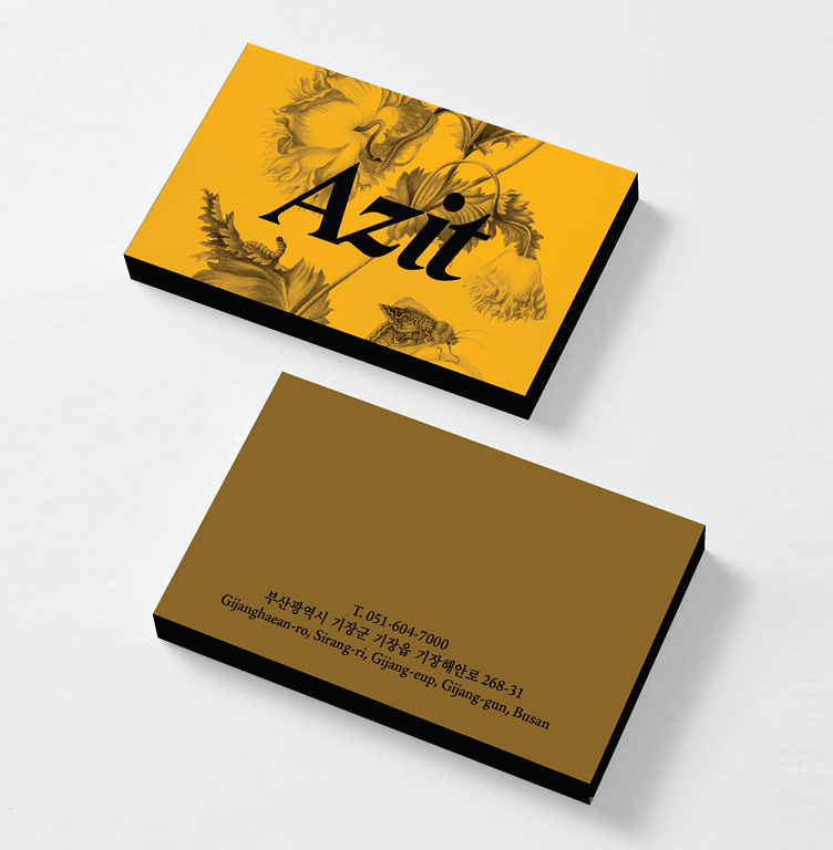 Azit Branding - Su Lee